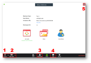 Enter and exit a Zoom meeting and use basic controls - CIIS Knowledgebase